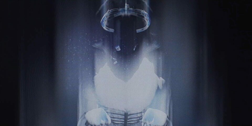 Archive 81 – Antibody